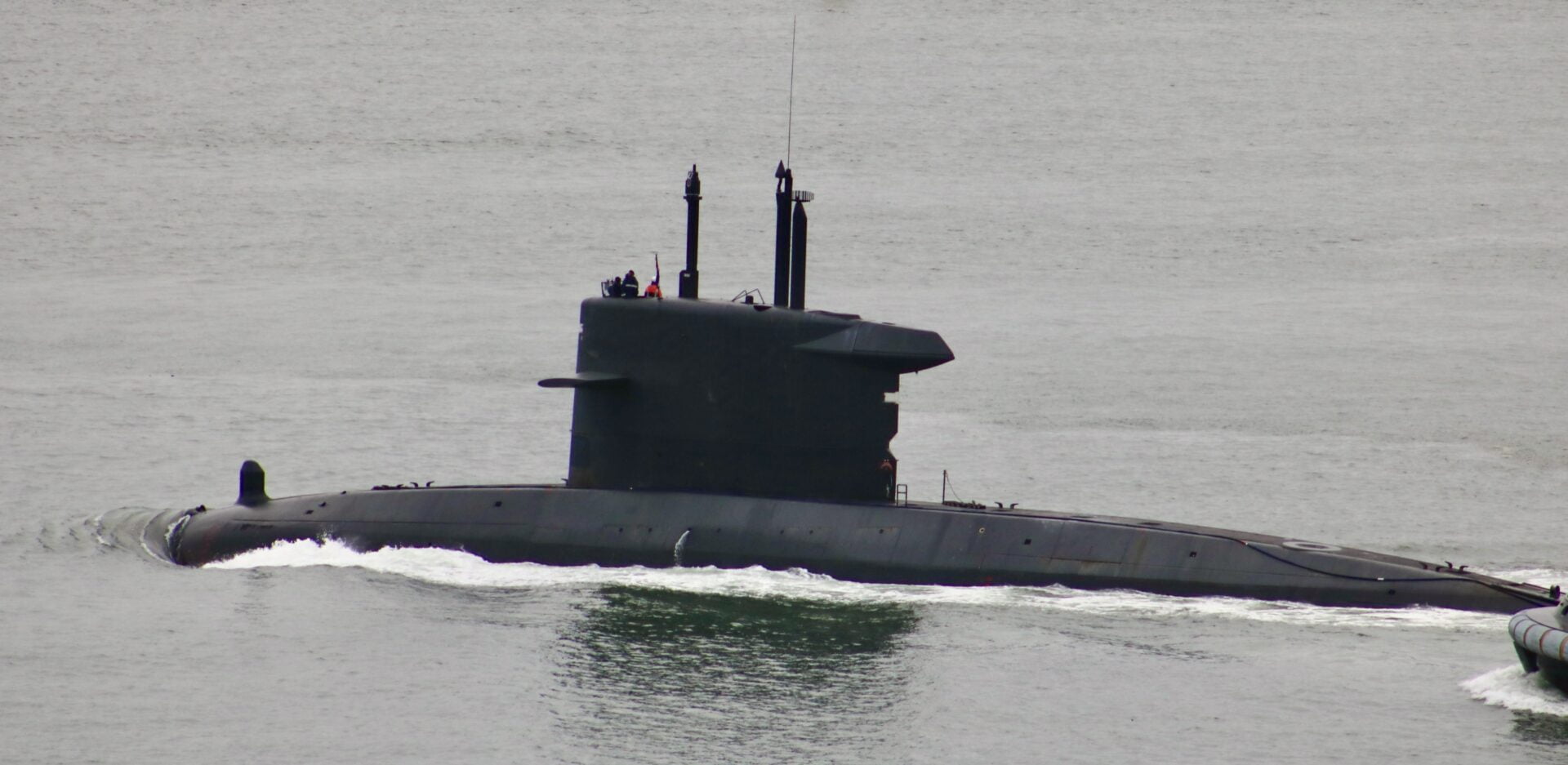 UP CLOSE WITH THE DOLFIJN